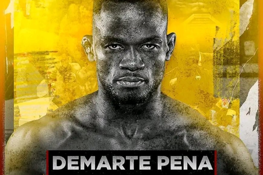 A primeira luta em Angola de Demarte Pena